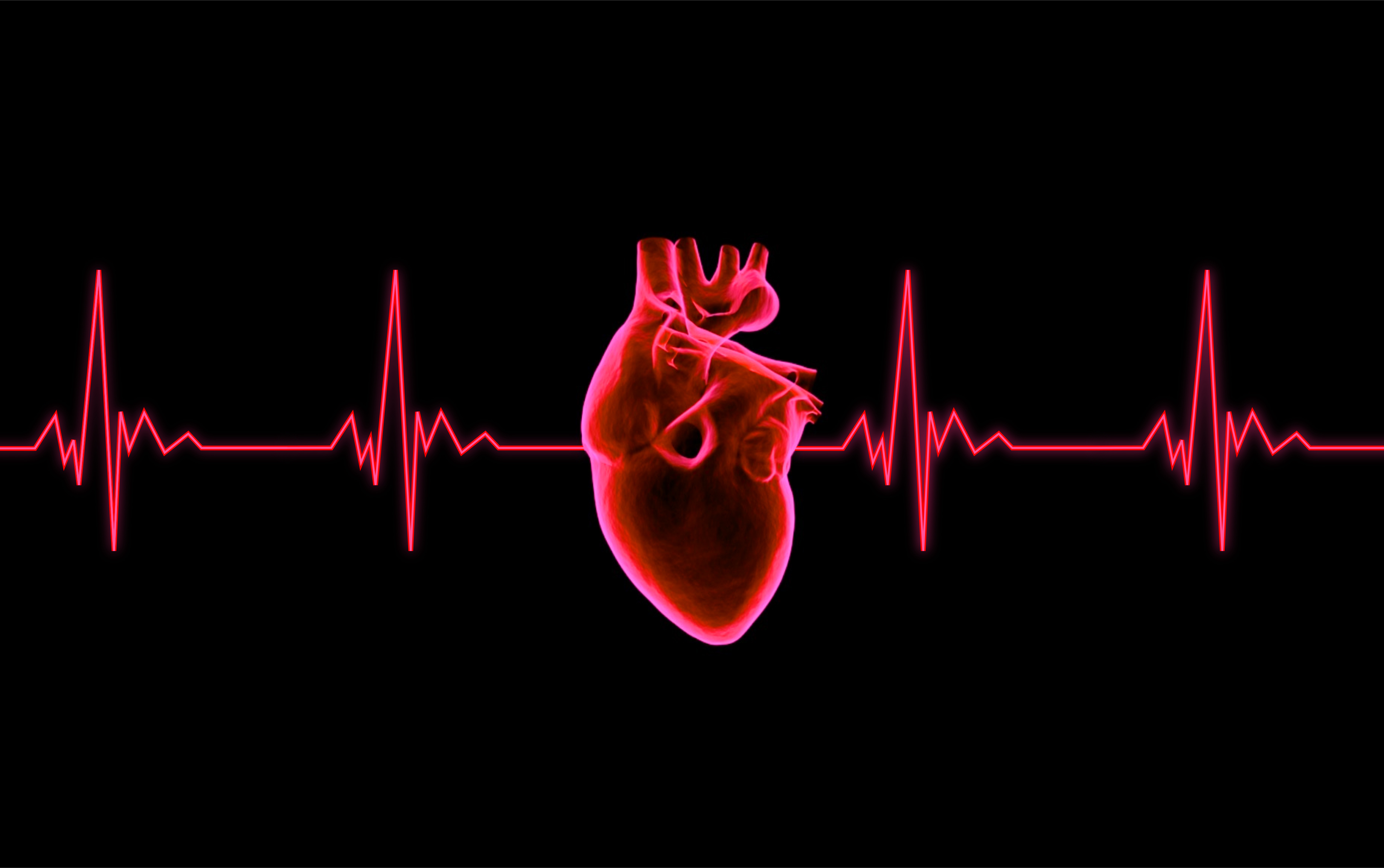 Free Photo Beating Heart ECG Graph Analysis Line Graphic Free Free Photo Beating Heart ECG Graph Analysis Line Graphic Free