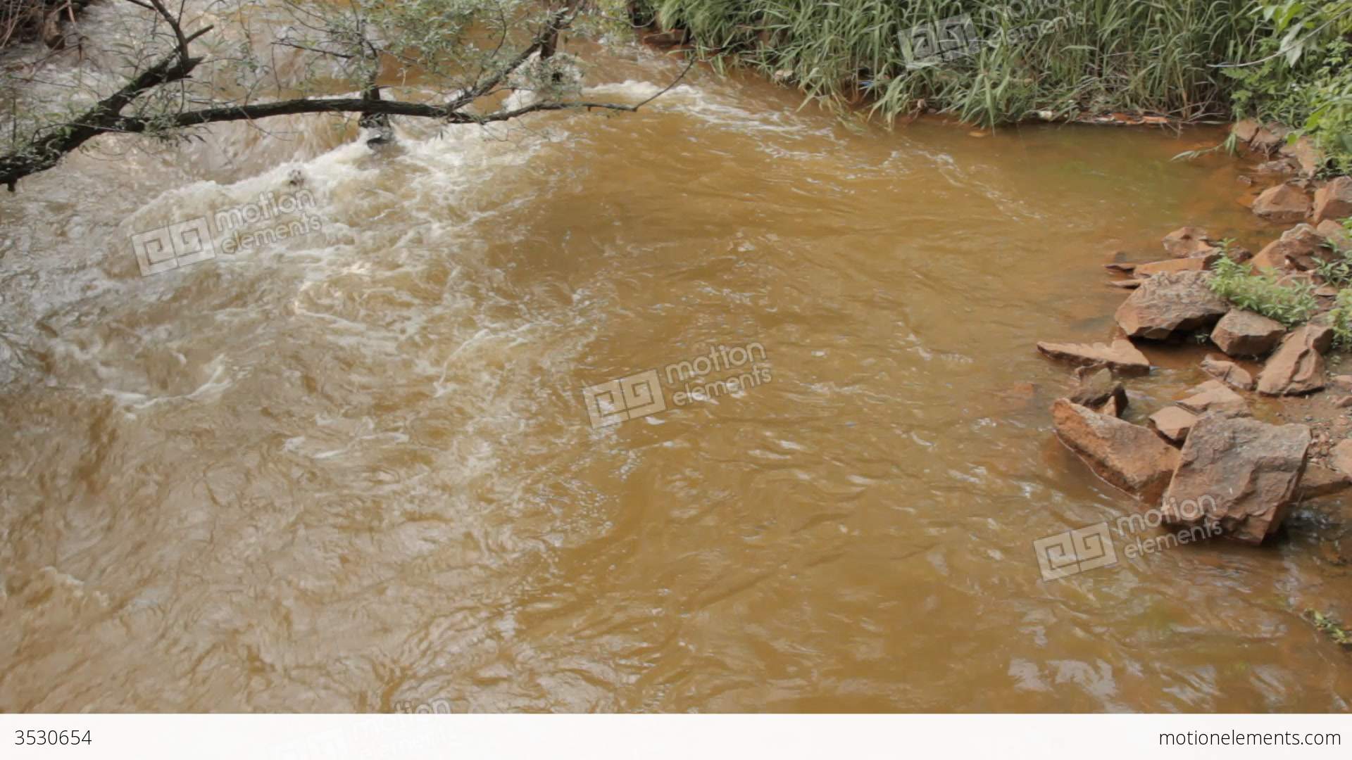 Free Photo Dirty Water Dirty Nature Pond Free Download Jooinn