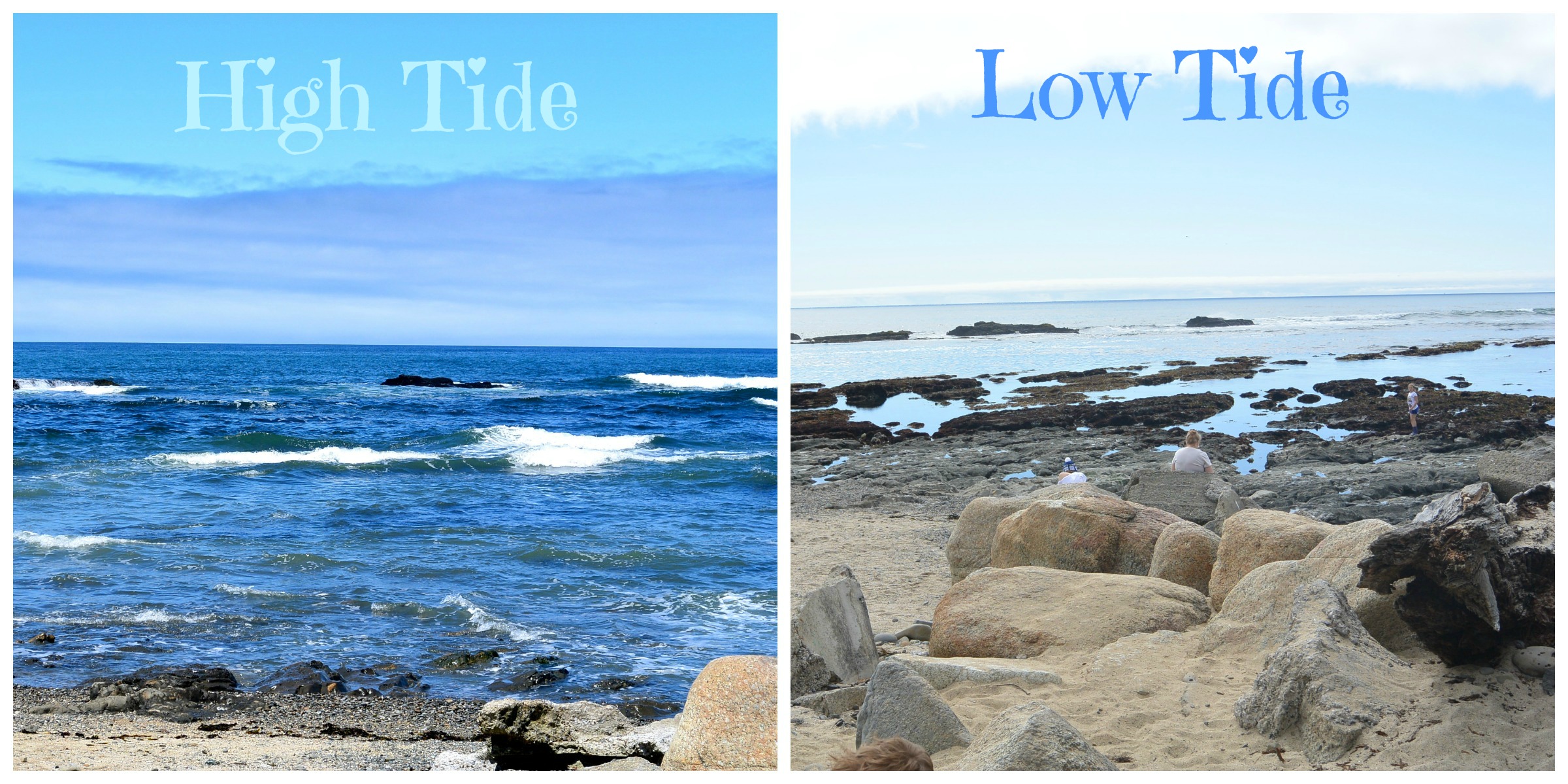 Free Photo High Tide Boat City Dark Free Download Jooinn