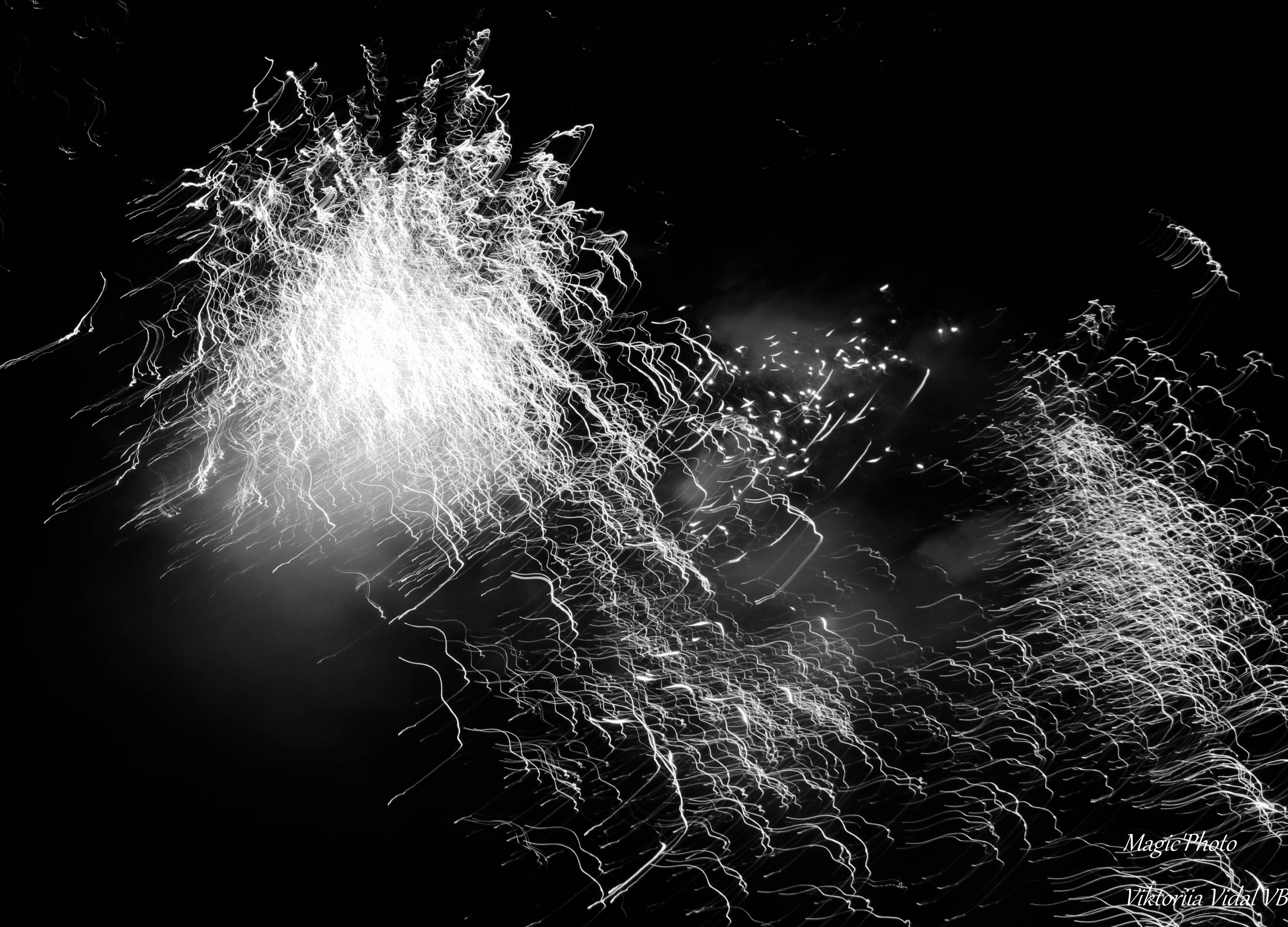 Free Photo Les Feux D artifices Black Background Blackandwhite