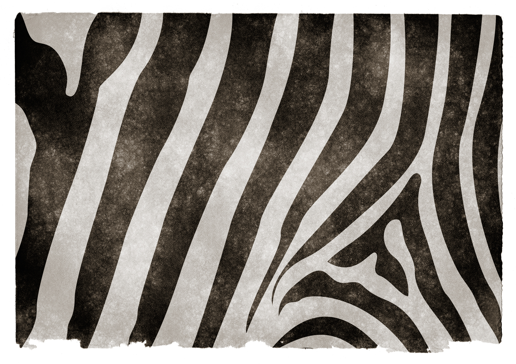 Free Photo Zebra Stripes Grunge Paper Aged Scrapbooking Paper Free Photo Zebra Stripes Grunge Paper Aged Scrapbooking Paper